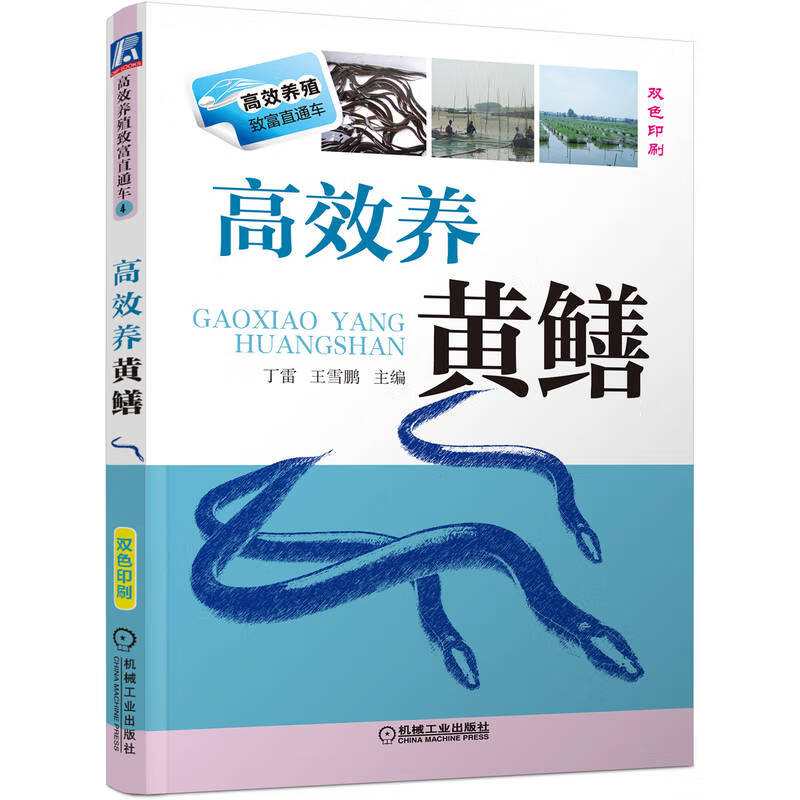 高效养黄鳝 丁雷