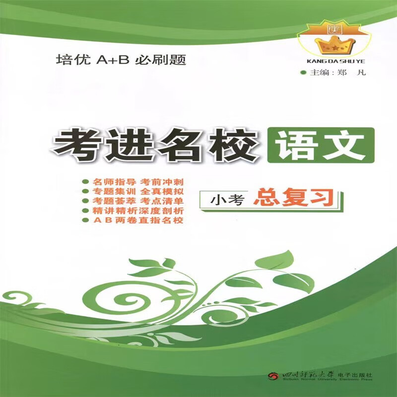 培优A+B必刷题 考进名校小考总复习 专题训练 语文数学英语含答案 语文