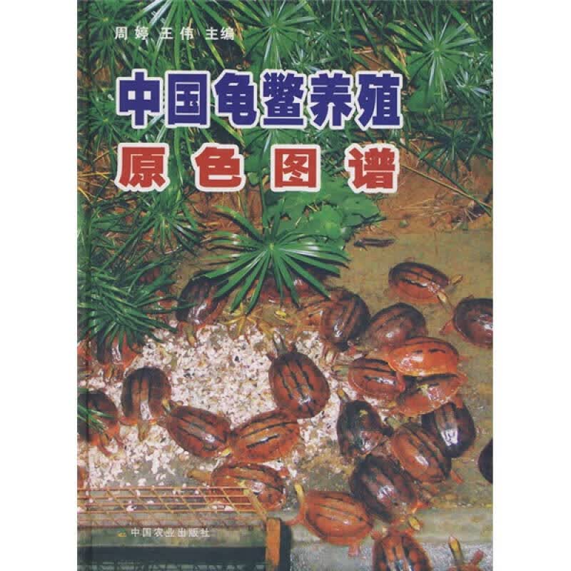 中国龟鳖养殖原色图谱【好书】
