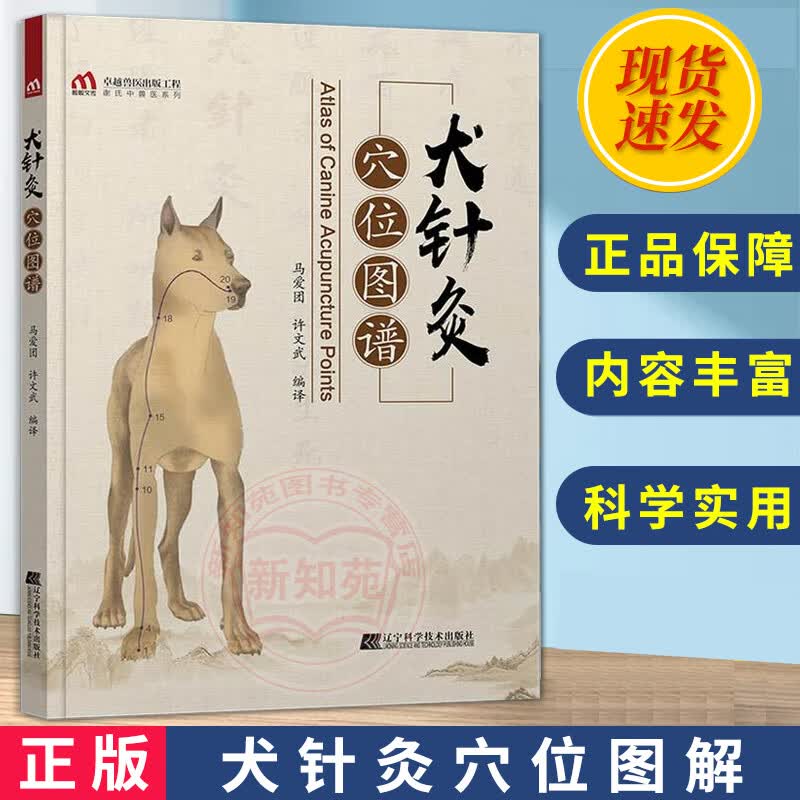 犬针灸穴位图谱中兽医针灸诊疗技术犬针灸治疗指南犬的经穴与针灸图谱犬穴位图宠物医生书小动物医学书犬的经