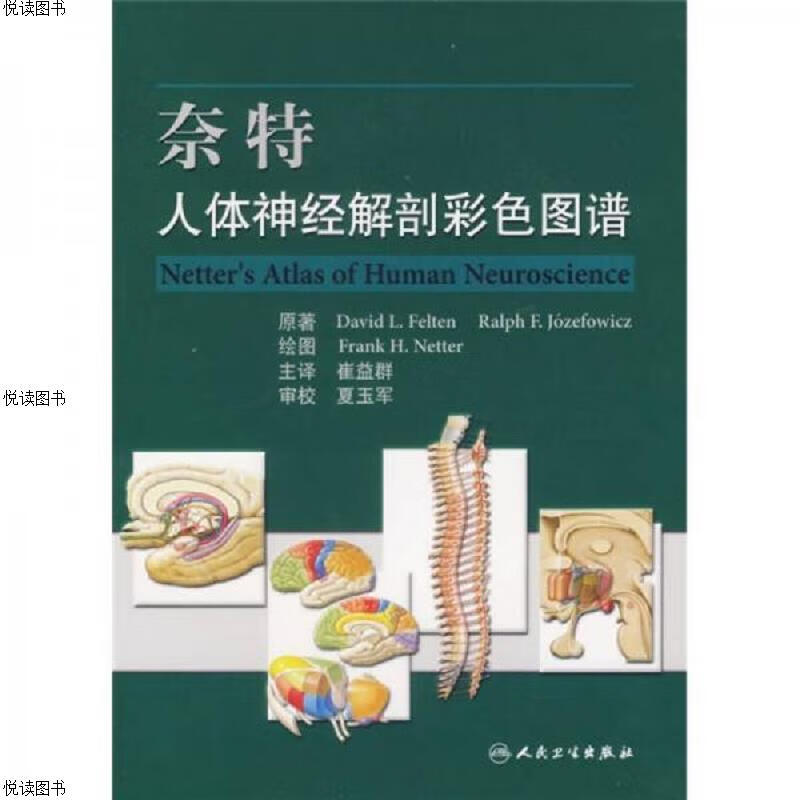 奈特人体神经解剖彩色图谱