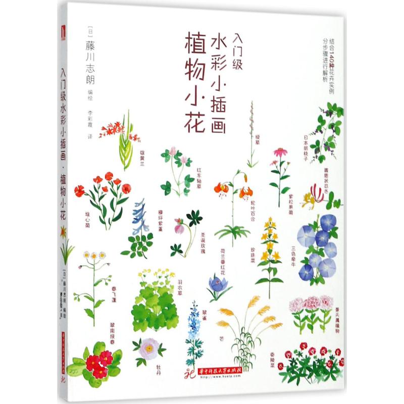 入门级水彩小插画植物小花