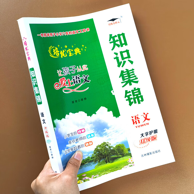 黄冈小学学霸笔记语文数学英语全套知识大全课堂笔记一二三年级四五六年级小升初复习资料人教版全解黄冈同步 语文知识集锦 小学通用