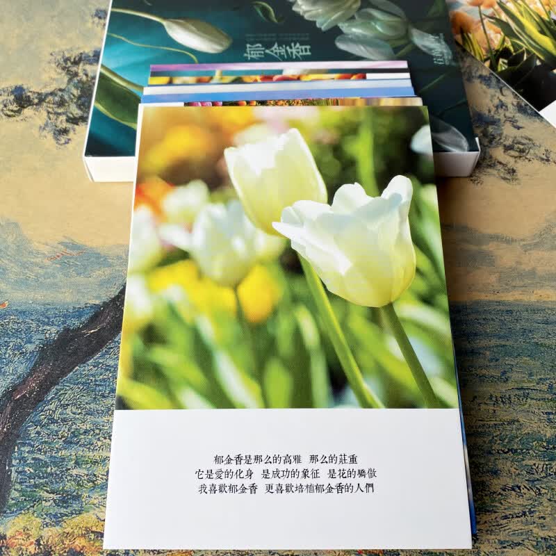 花卉卡片郁金香明信片创意高贵典雅端庄母节贺卡繁体字介绍花语 郁金香 明信片（30张）