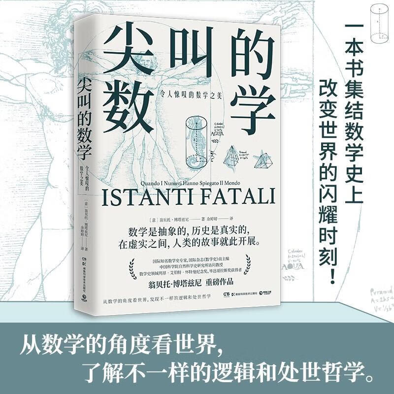 尖叫的数学 令人惊叹的数学之美（国际数学杂志《数学史》前主编翁贝托·博塔兹尼带你从数学的角度看世界）XN 尖叫的数学