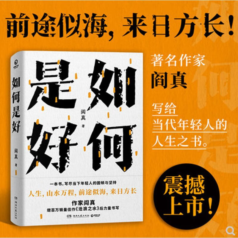 如何是好 阎真 中国当代长篇小说