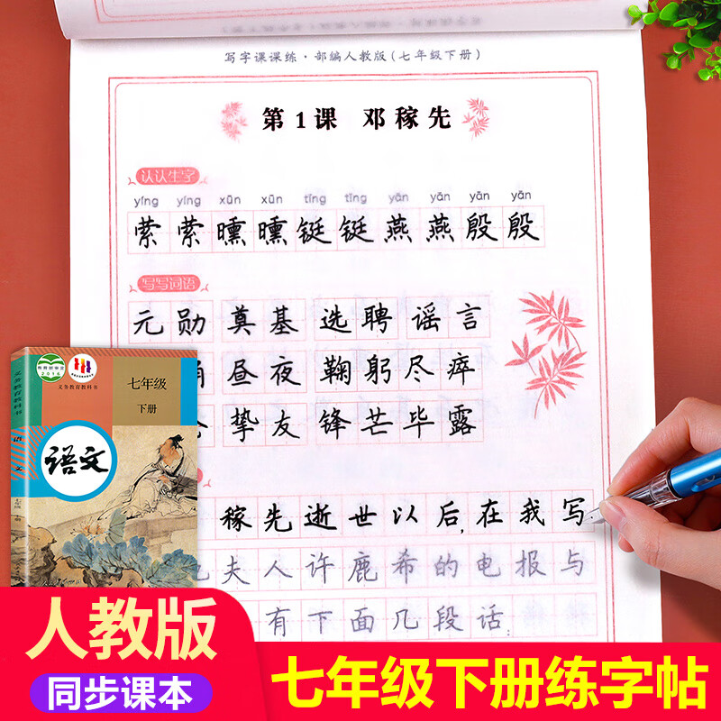 七年级上下册语文字帖初中生人教版课本教材同步练字帖初中7年级钢笔正楷硬笔书法生字练习中学生临摹字帖初中生初一练字描红本练习册 七年级下册【语文同步练字帖】 七年级