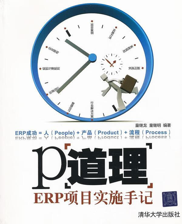 P道理:ERP项目实施手记