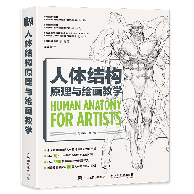 人体结构原理与绘画教学