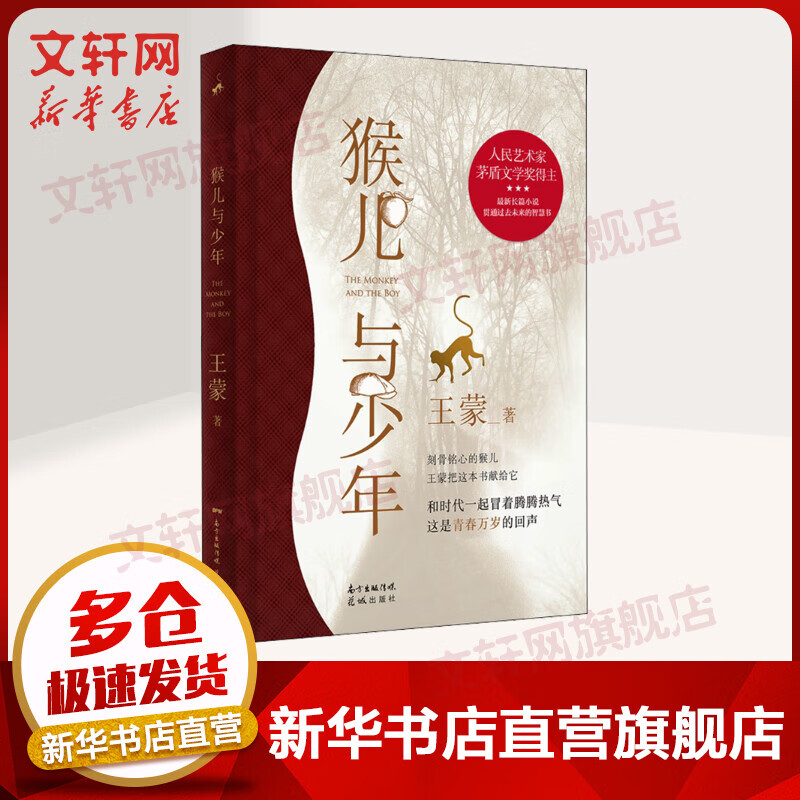猴儿与少年 图书