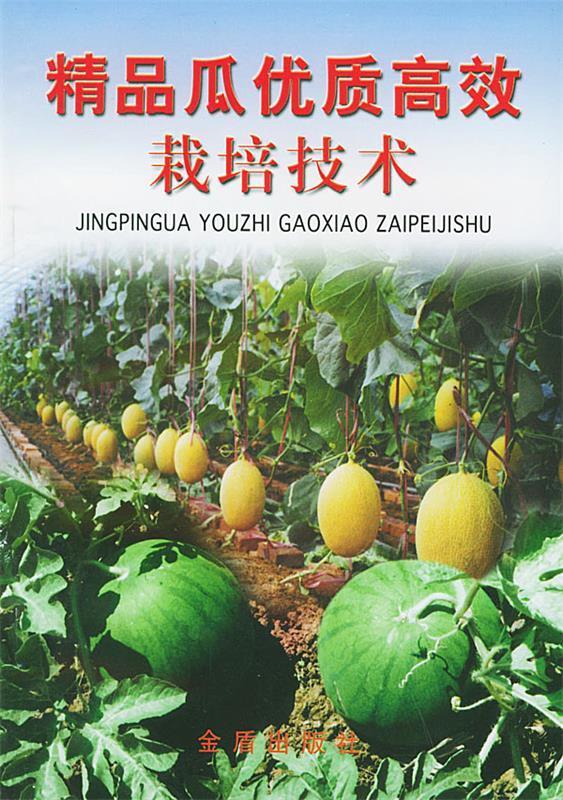 精品瓜优质高效栽培技术