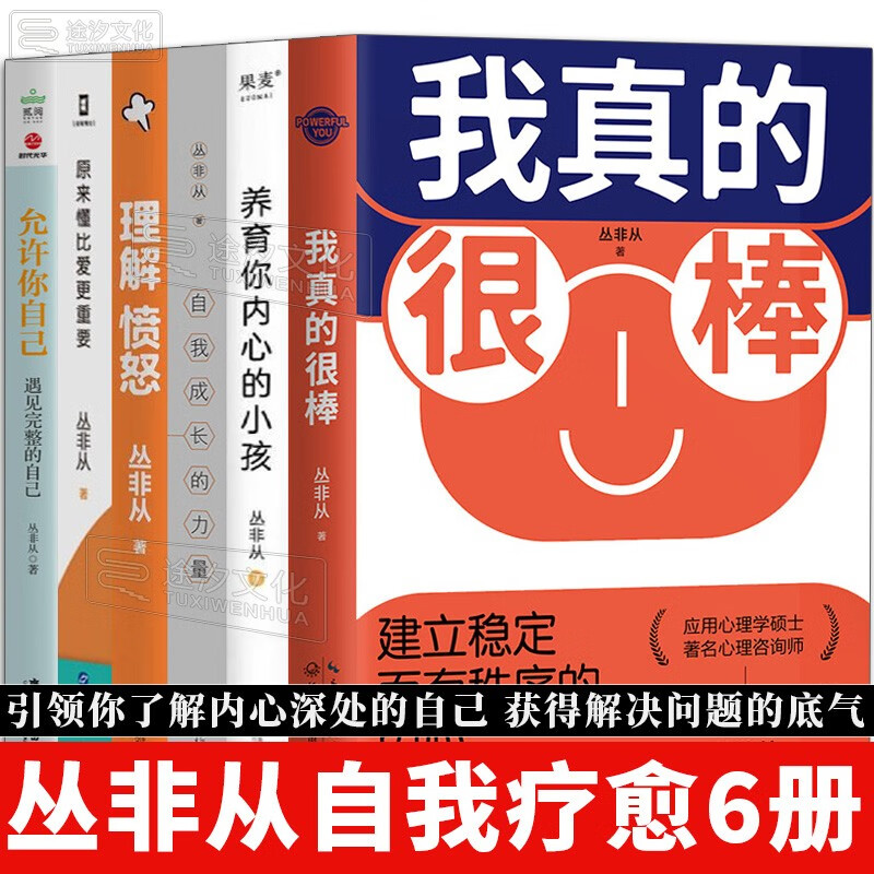 丛非从自我疗愈系列6册 养育你内心的小孩+自我成长的力量+我真的很棒+理解愤怒+原来懂比爱更重要+允许你自己：遇见完整的自己