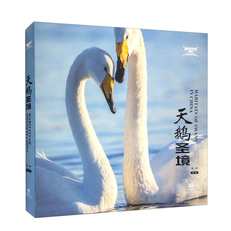 天鹅圣境/湿地光影丛书