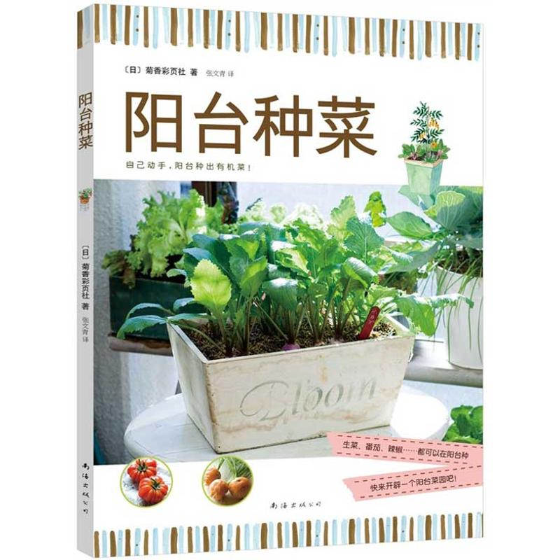 阳台种菜