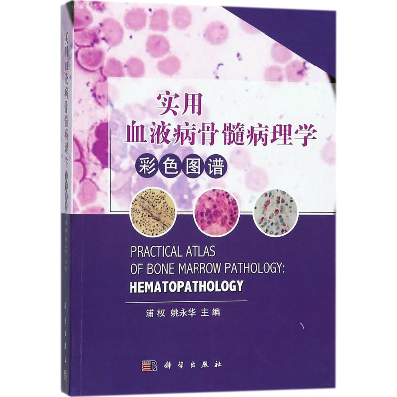 实用血液病骨髓病理学彩色图谱