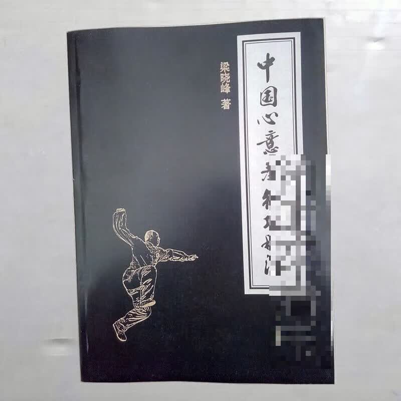 中国心意拳行功秘法现货 实物拍摄练功武术健身