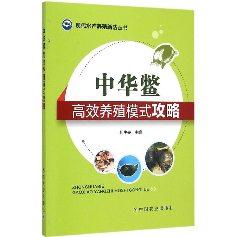中华鳖高效养殖模式攻略
