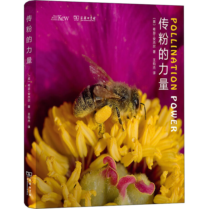传粉的力量 (英)希瑟·安杰尔  王钧杰 译 书籍
