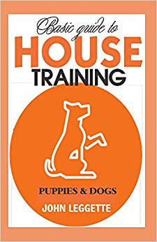 Basic Guide to House Training Puppies