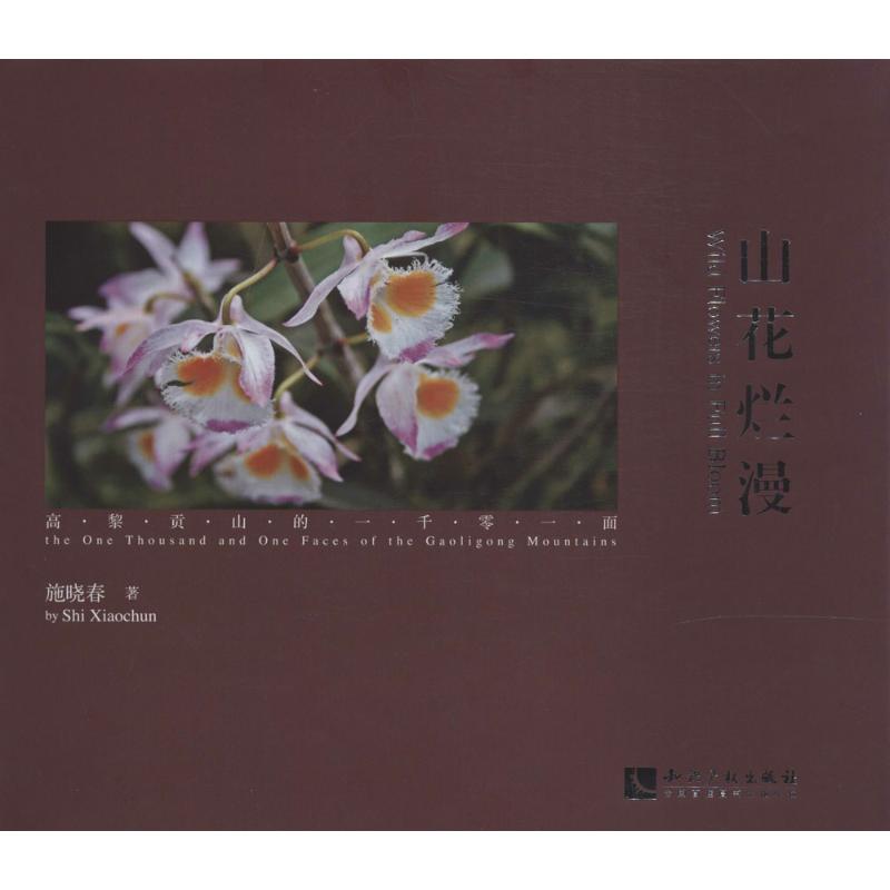 山花烂漫