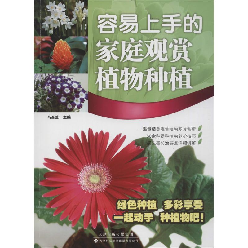 容易上手的家庭观赏植物种植