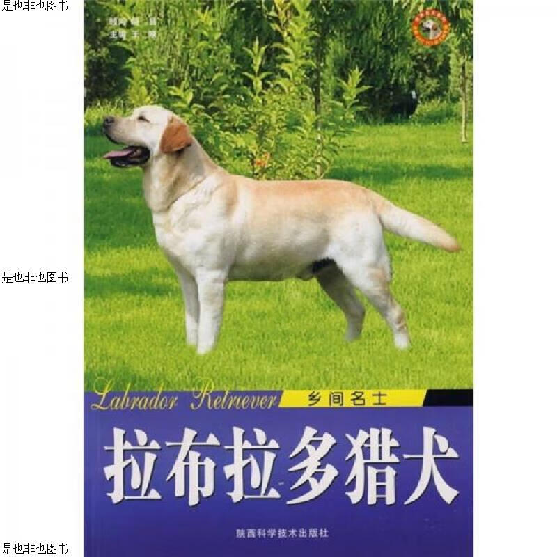 乡间名士：拉布拉多猎犬