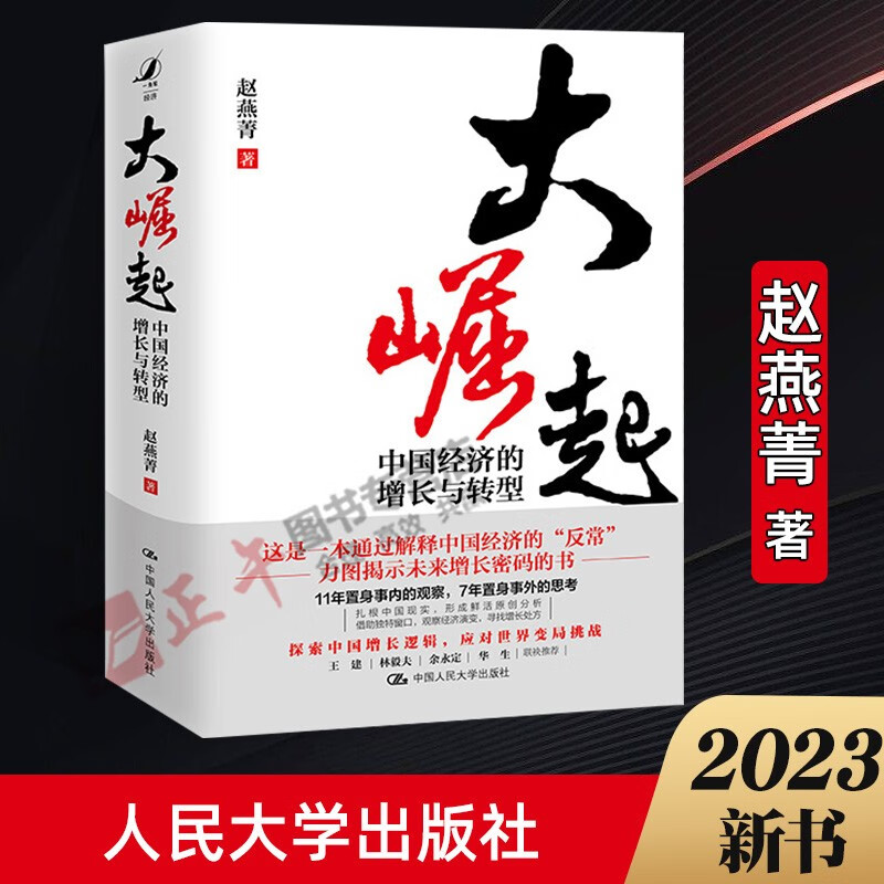 大崛起 中国经济的增长与转型 赵燕菁 城市规划置身事内土地财政中国政府与经济发展理论中国式现代化人大学出版社 大崛起：中国经济的增长与转型