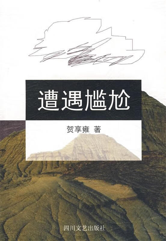 遭遇尴尬 贺享雍 著 四川文艺出版社