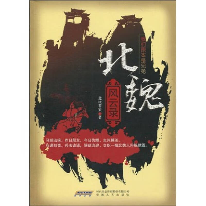 北魏风云录【好书】