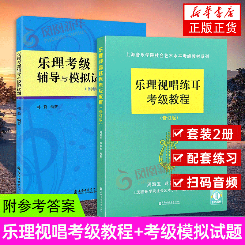 乐理视唱练耳考级教程+乐理考级辅导与模拟试题 套装2册 社会艺术水平考级乐理书籍钢琴考级基础教程周温玉乐