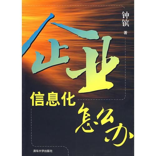企业信息化：怎么办