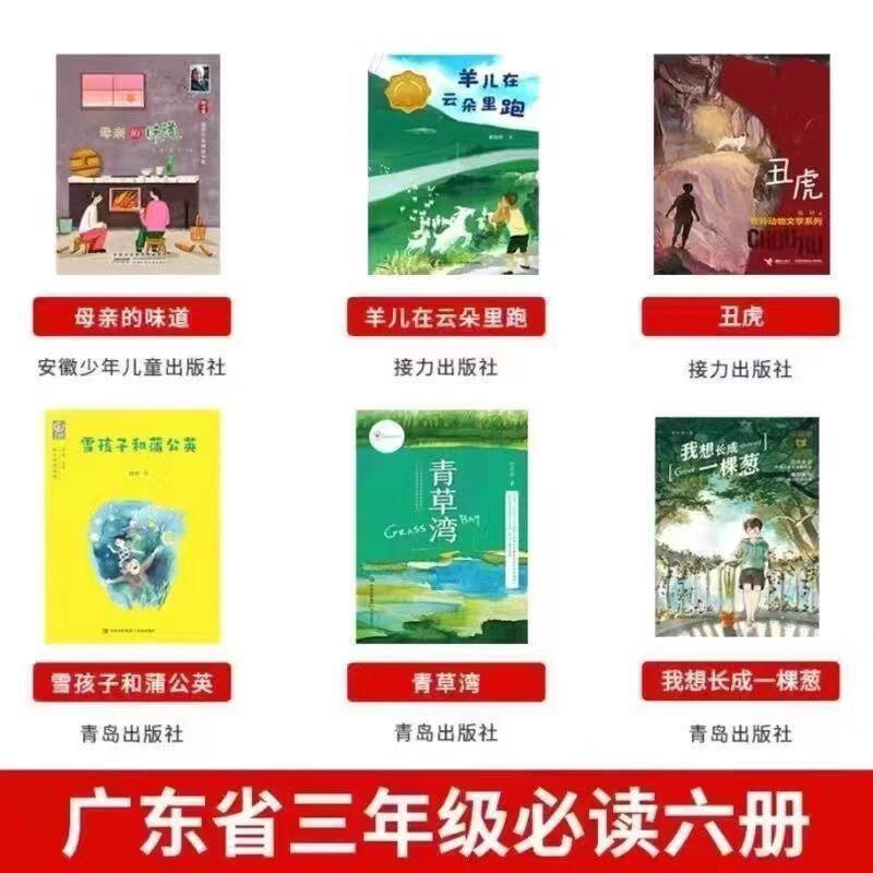 【现货速发】母亲的味道2023年广东省三年级朝阳阅读打卡羊儿在云朵里跑丑虎 三年级必读6本