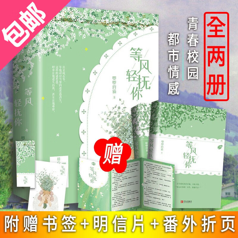邮等风轻抚你（上下） 原名等风热吻你 她的小梨涡作者唧唧的猫新作 青春文学 书籍 k
