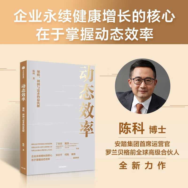 动态效率 规模、利润与需求的 优解 陈科 著