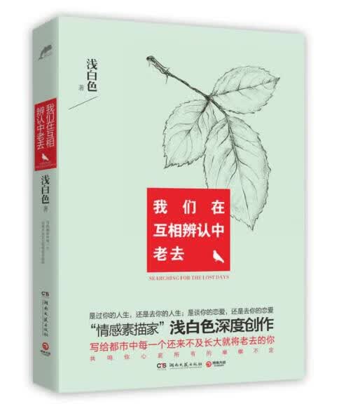 我们在互相辨认中老去【好书】