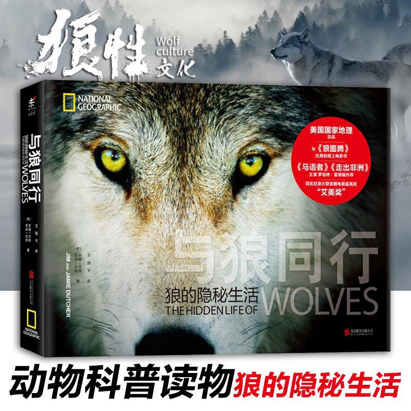 现货 与狼同行：狼的隐秘生活