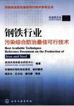钢铁行业污染综合防治佳可行技术9787122182906
