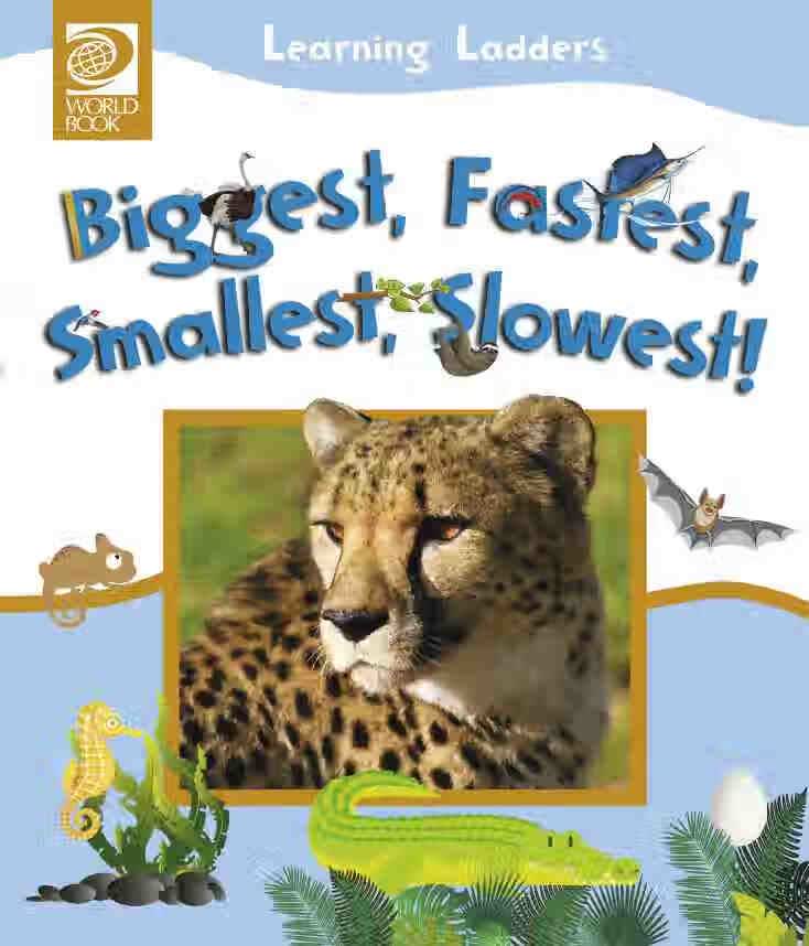预售 按需印刷Biggest, Fastest, Smallest, Slowest
