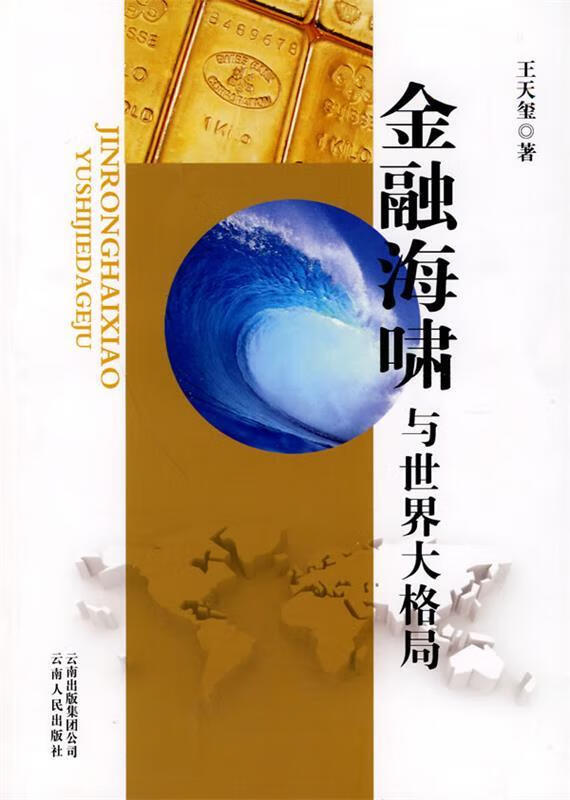 金融海啸与世界大格局 王天玺著