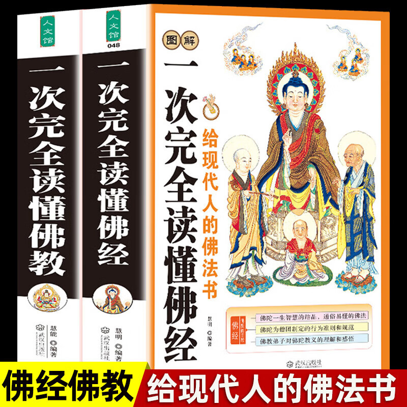 全2册】图解一次完全读懂佛教+佛经学佛经佛学佛教入门基础知识金刚经心经坛经楞严经学禅宗论无量寿经 论无量寿经