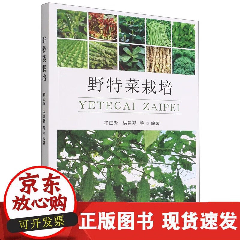 速发 野特菜栽培