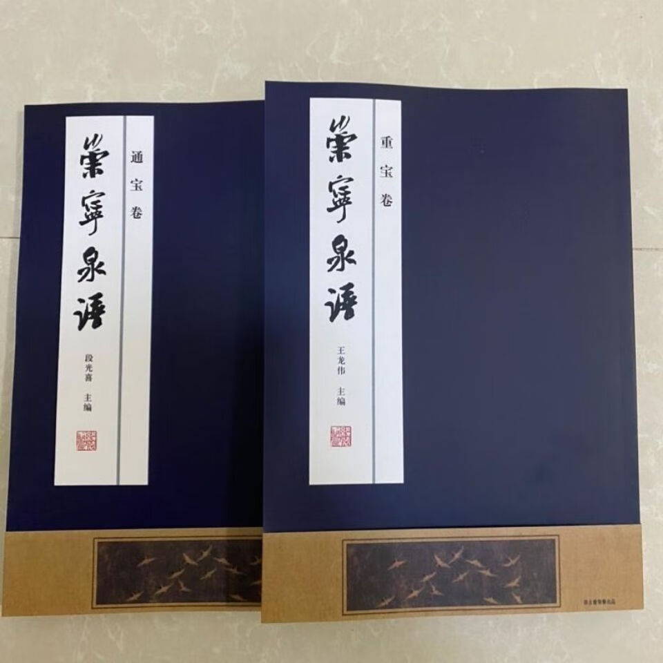崇宁泉谱一套2册本通宝重段光喜王龙伟版别捡漏参考书籍北宋平装