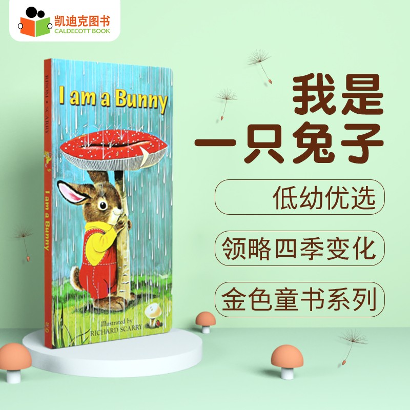 I am a Bunny 我是一只兔子 英文原版绘本#