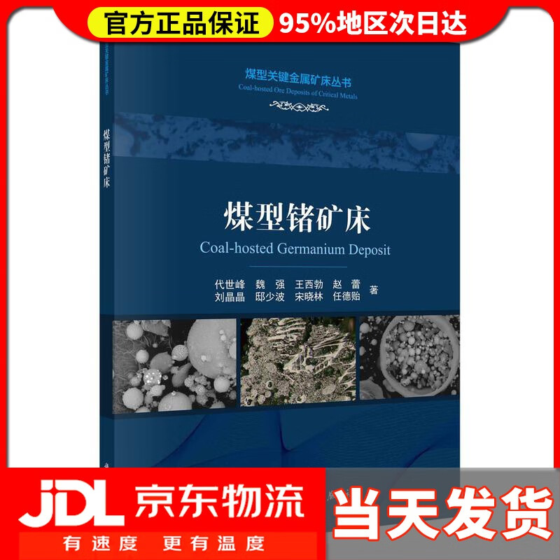 煤型锗矿床 代世峰等