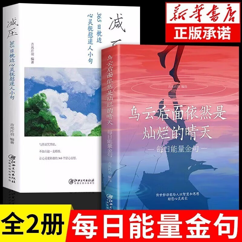 速发 乌云后面依然是灿烂的晴天感悟人生每日能量金句每日箴言一句话改变人生启迪心灵青春正能量励志经典语录心灵鸡汤 抖音推荐2册：乌云+减压