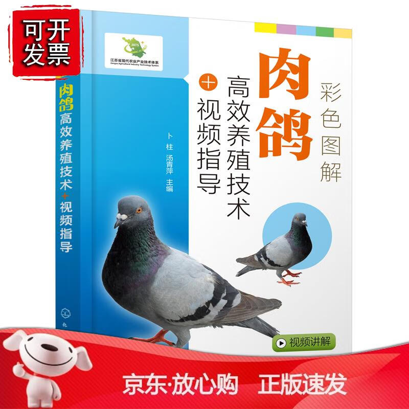 彩色图解肉鸽高效养殖技术+视频指导 卜柱化学工业出版社9787122403926 65