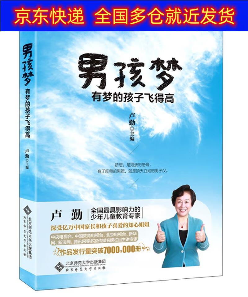 书 男孩梦：有梦的孩子飞得高 家教养育男孩类图书 孩子飞得高