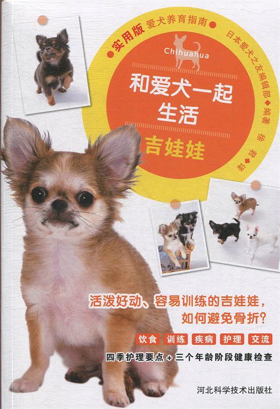 和爱犬一起生活:吉娃娃