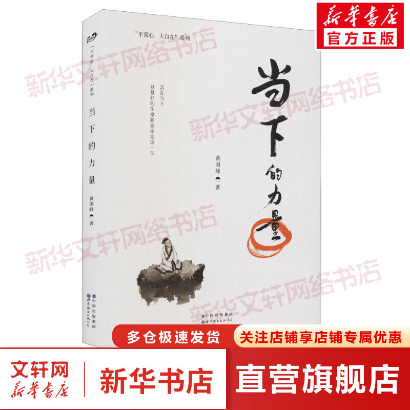 当下的力量 图书