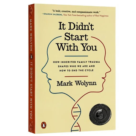 这不是你的错 英文版书 It Didn't Start with You